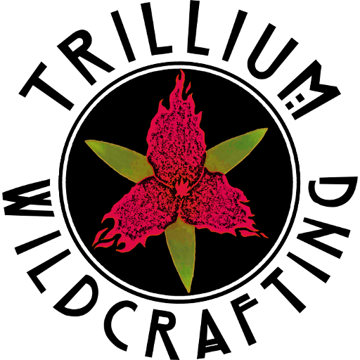 Trillium Chaga Extract Powder, 30g